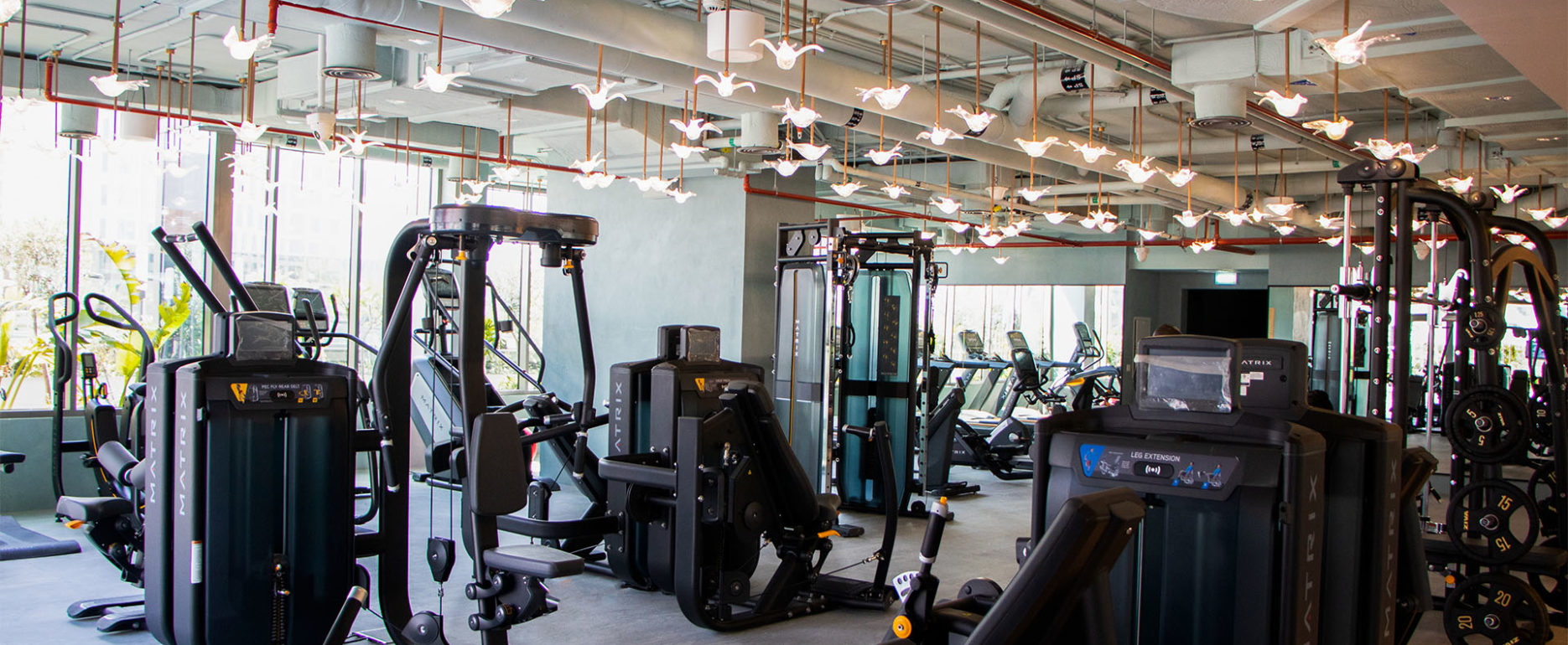 PROJECTS - Functional Fitness Supply